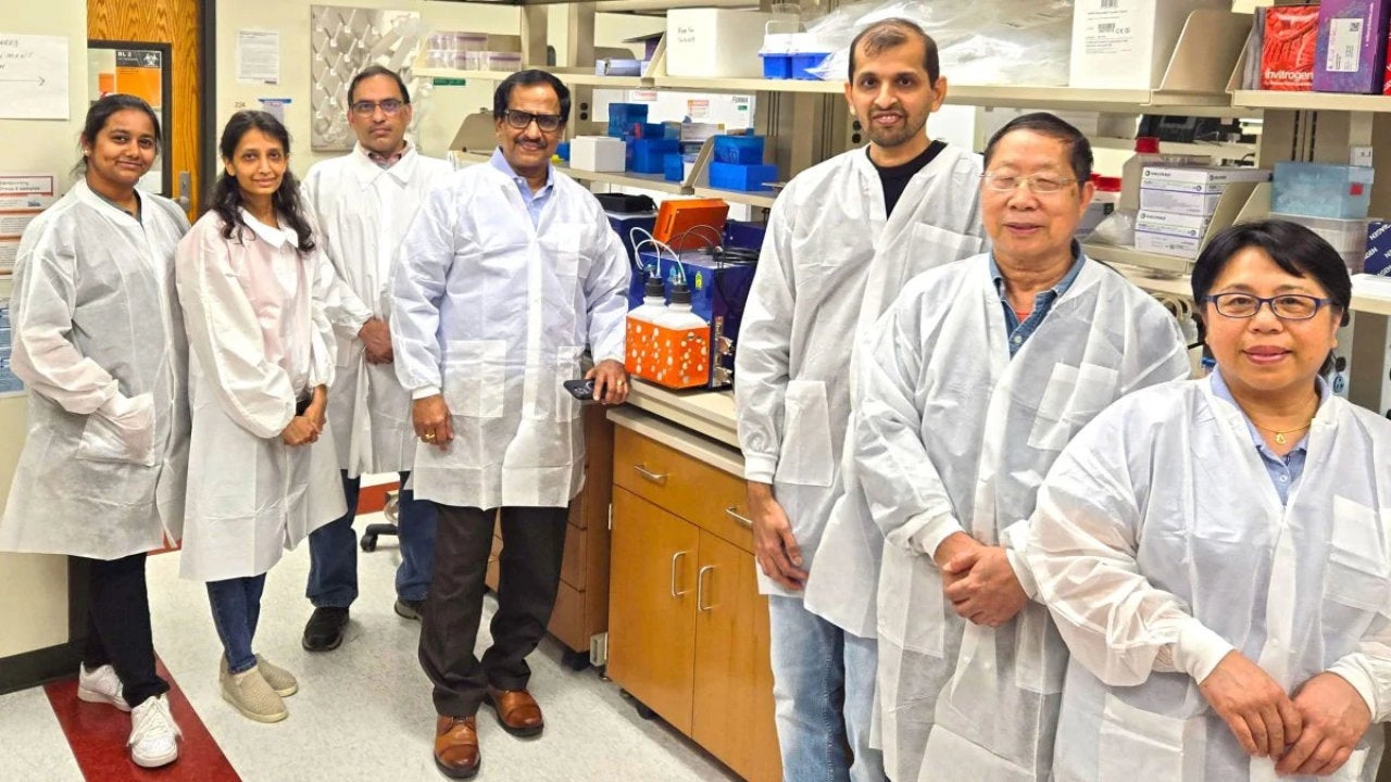 Rejuvenecer el cerebro con un espray nasal: el experimento con ratones ...