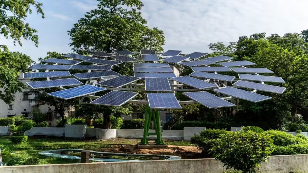 Árboles solares: la alternativa fotovoltaica que permite proteger el 99 ...