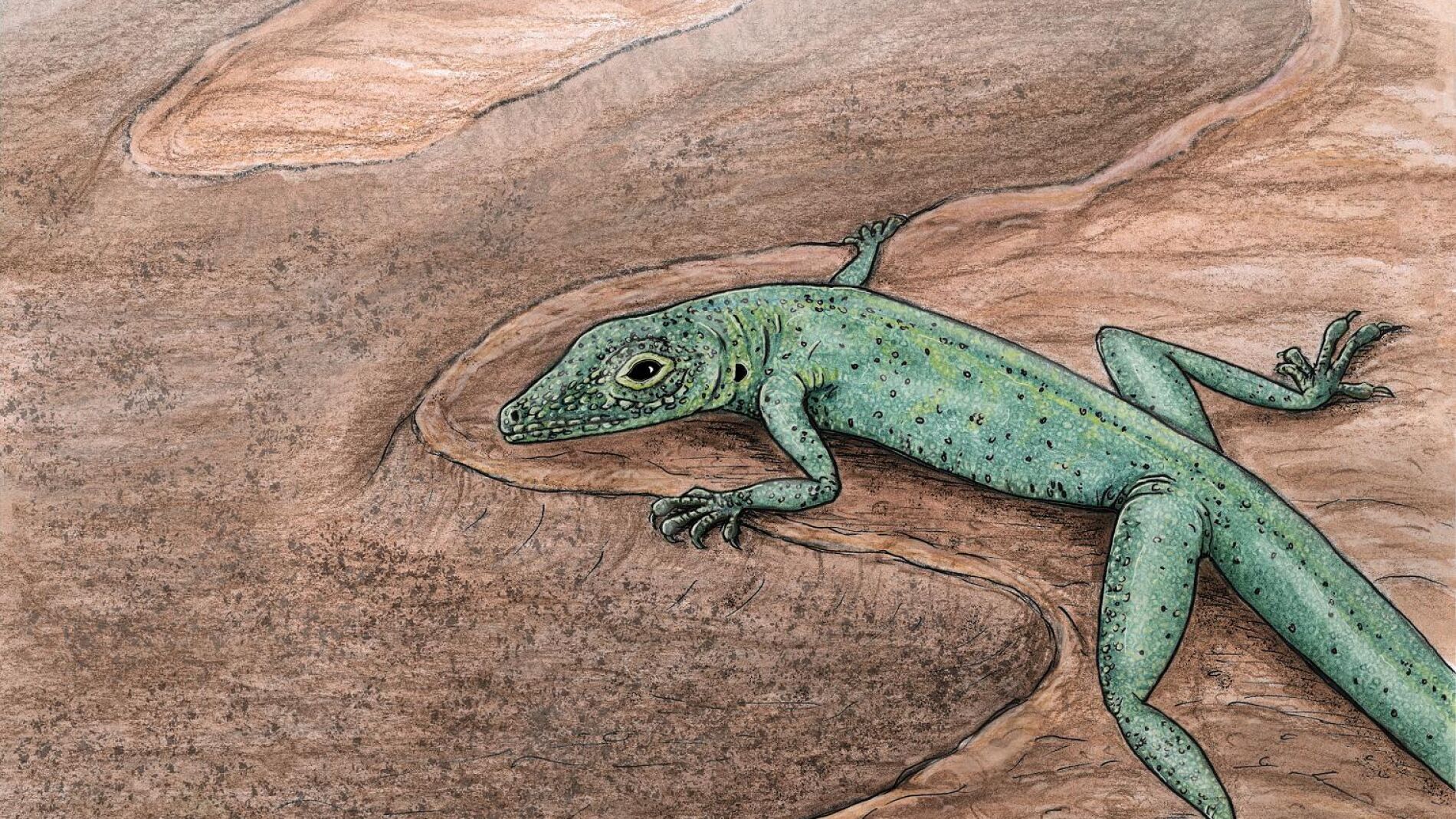 El fósil mejor conservado de un lagarto tiene 166 millones de años