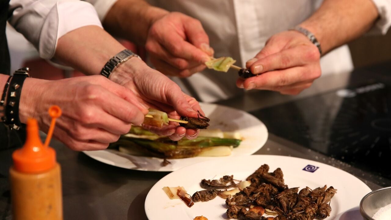 Comer insectos, lejos de convertirse en un placer para el paladar