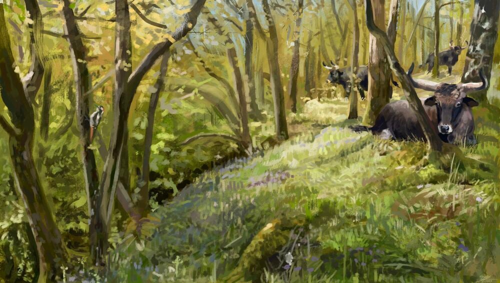 Europa no era todo bosque antes de la llegada del ser humano