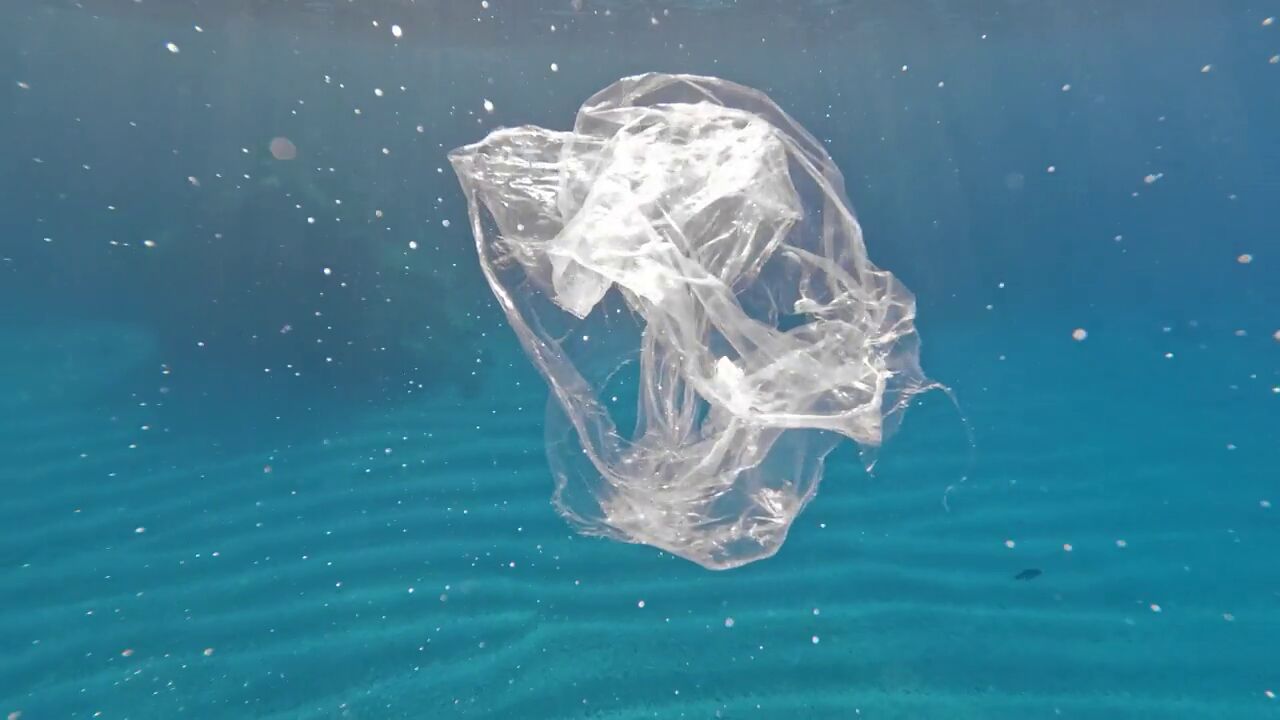 El inesperado cómplice de la contaminación: así es la 'nieve marina ...