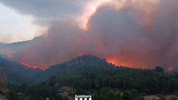 Incendio forestal en Tarragona, en directo hoy: hectáreas quemadas ...