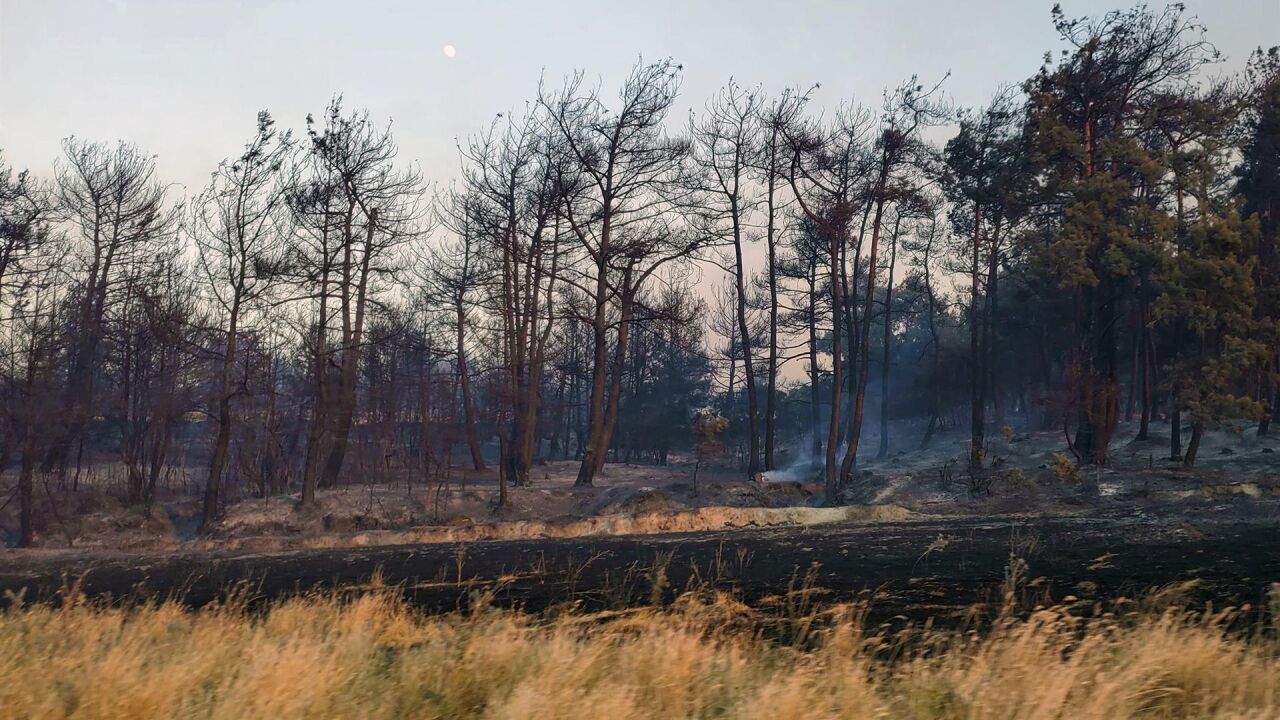 La lucha de Turquía contra varios incendios, en medio de una ola de ...