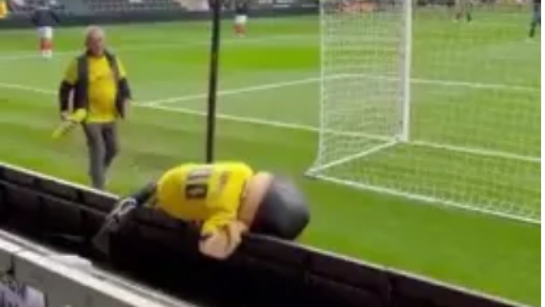 Expulsan a la mascota de un equipo tras liarla durante un partido por ...