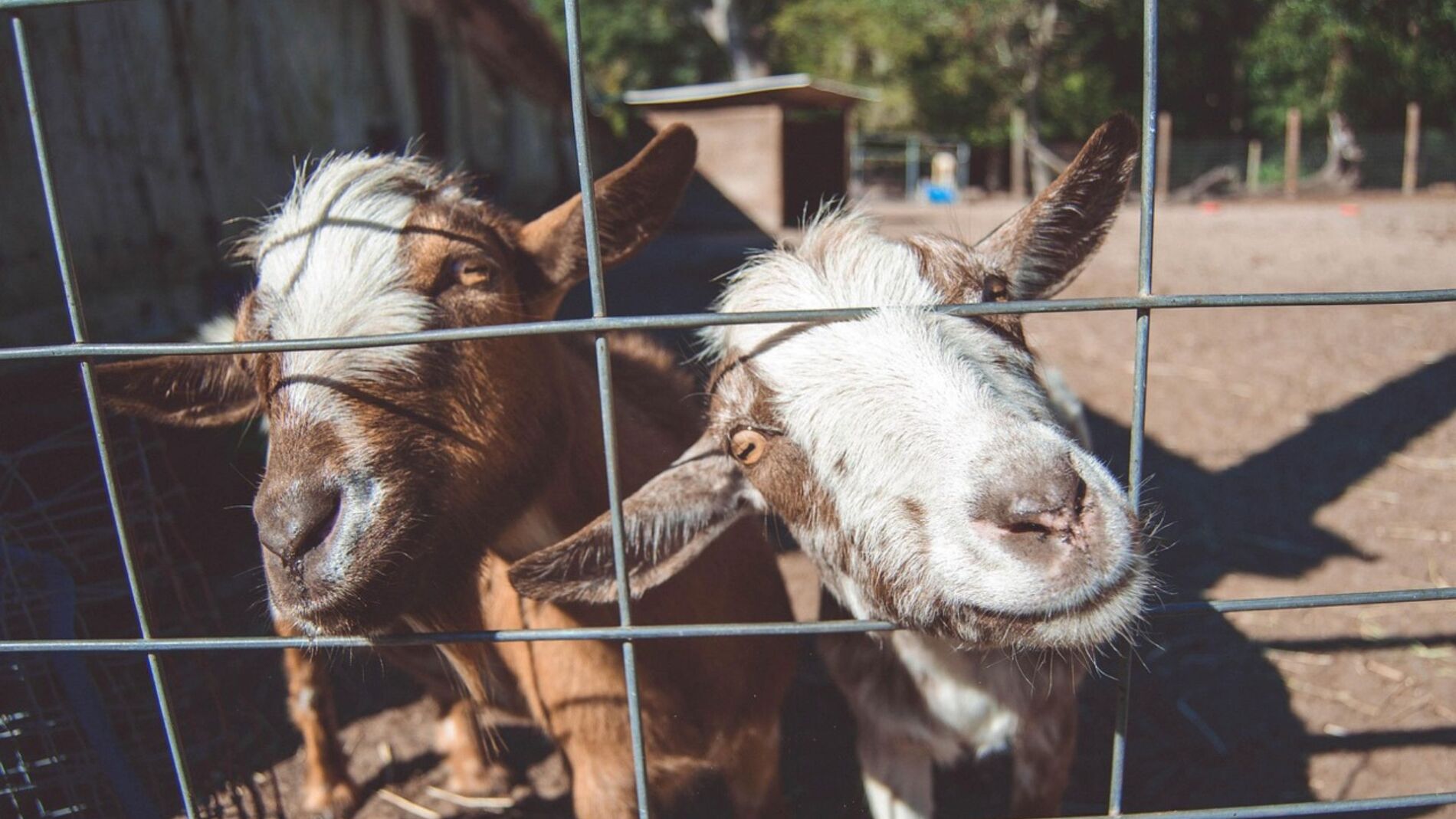 "La gente de arriba no tiene nuestros problemas": el clamor desde ...