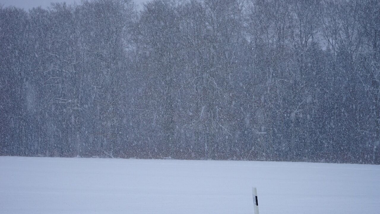 La AEMET lanza una alerta por el tiempo en Nochebuena y Navidad: "Llega ...