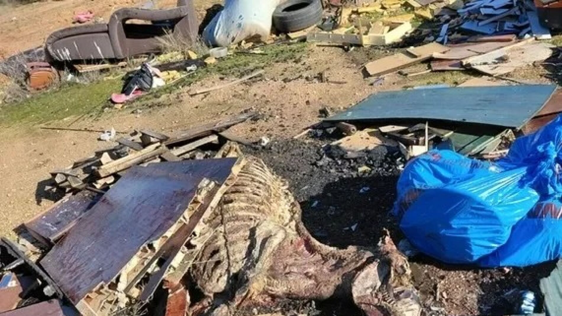 Denuncian la existencia de un vertedero ilegal en Zamora con el cadáver ...
