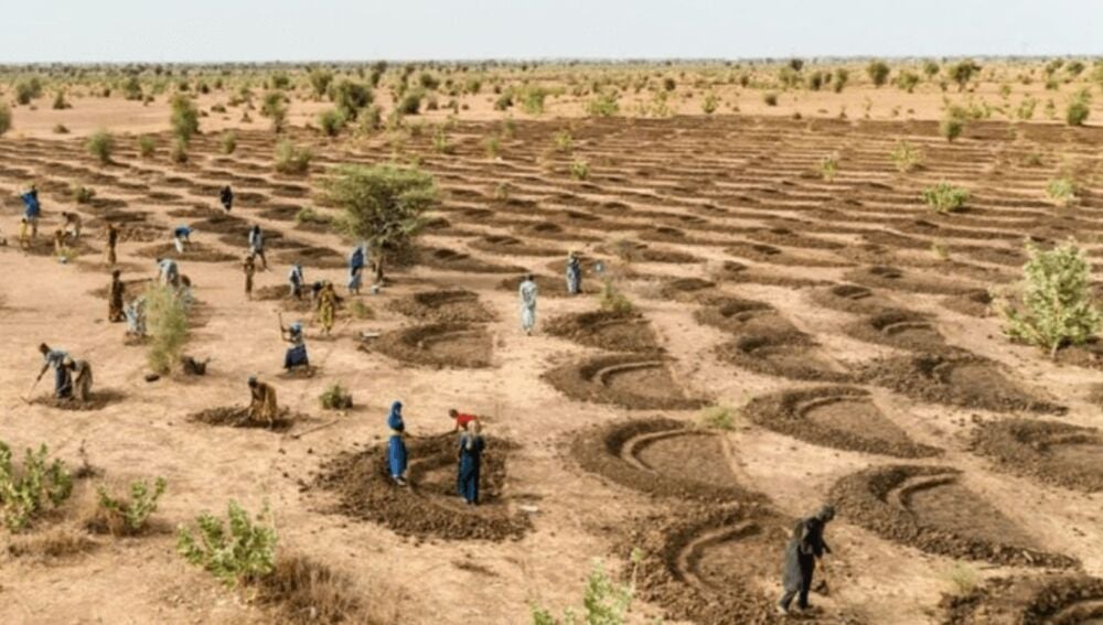 El día que el Sáhara alcanzó los 70 grados: murieron miles de millones ...