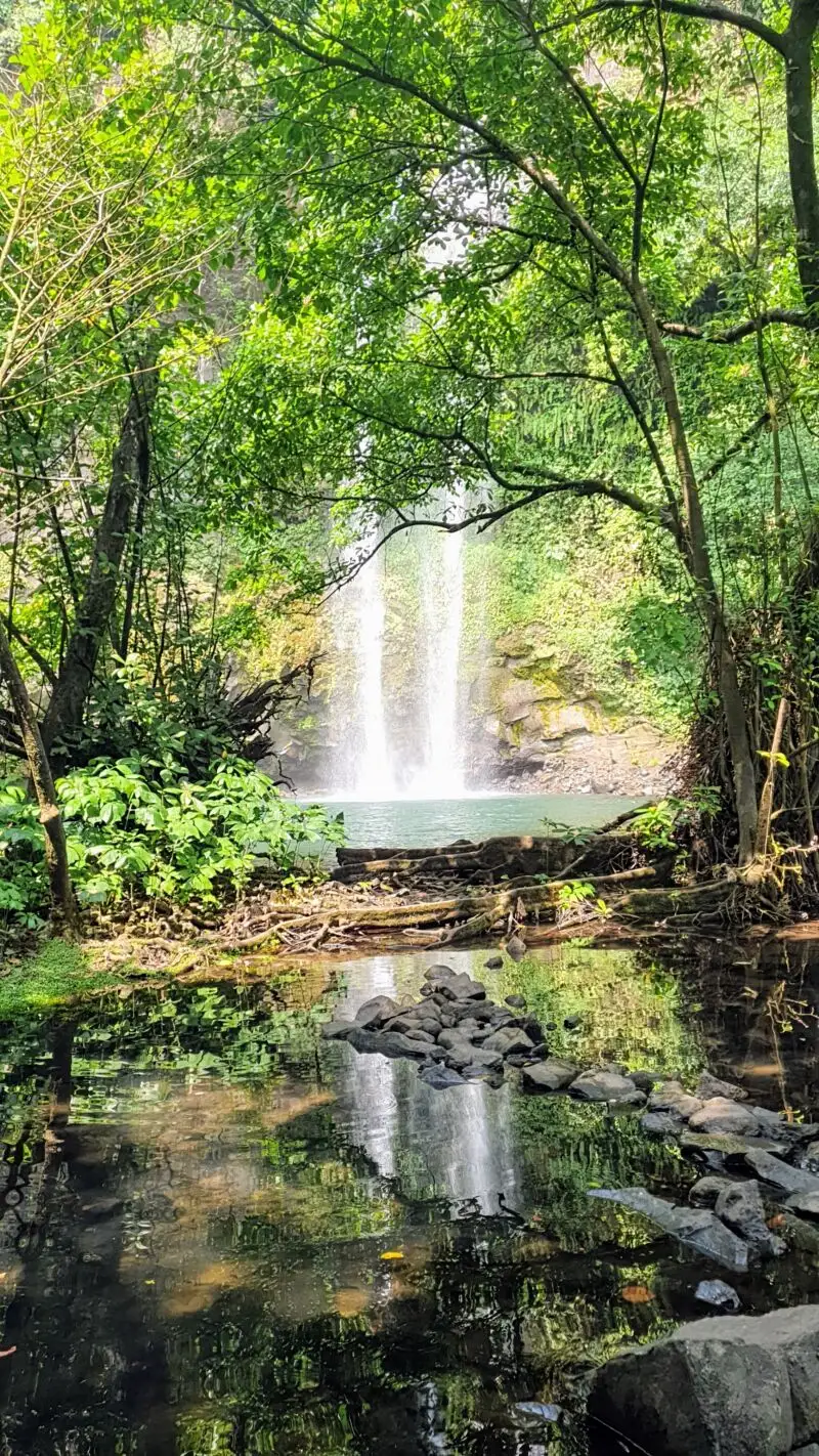 Descubriendo el bosque y la selva de Guinea Ecuatorial
