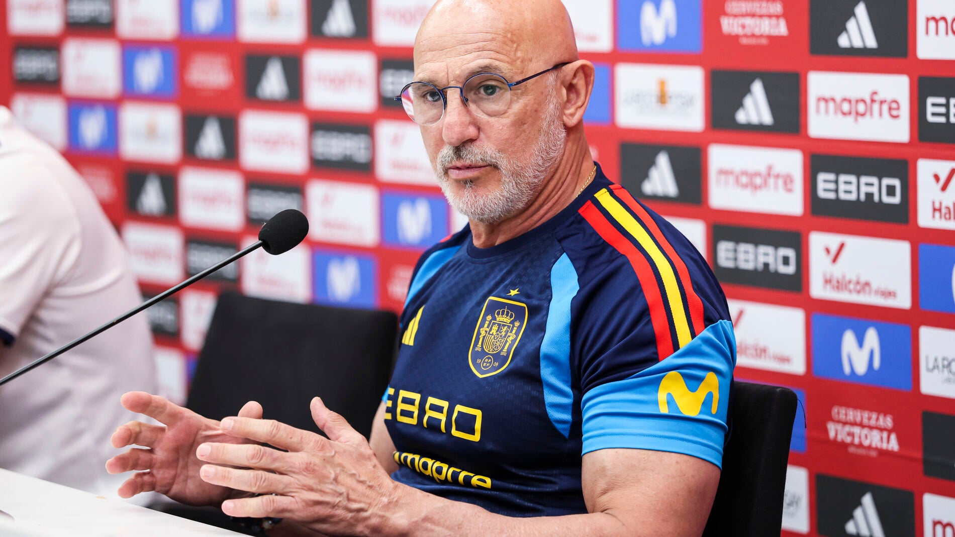 Luis de la Fuente deja clara su postura ante una posible oferta de ...
