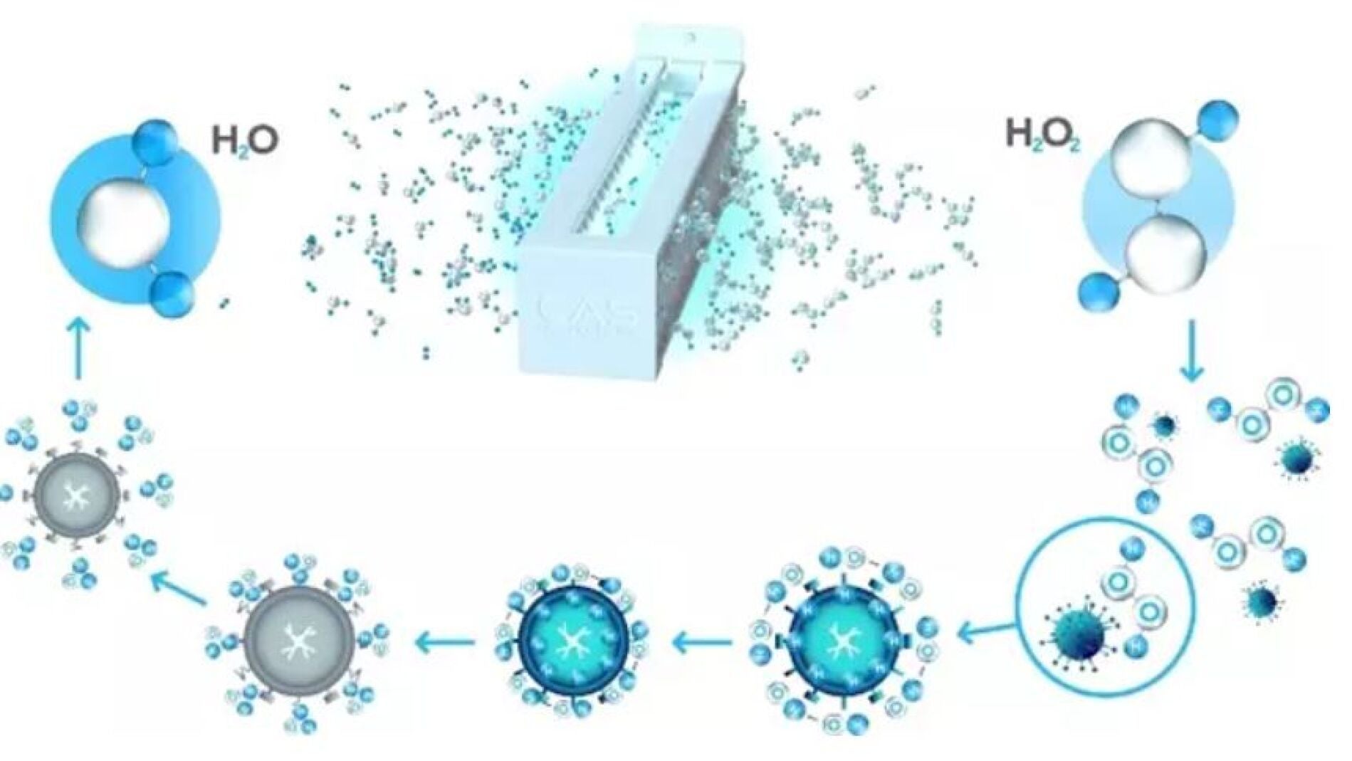 CleanAir Spaces se une al sello “Immune Building Standard” por su ...
