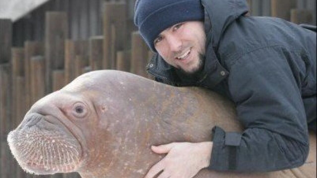 La lucha de Demers por salvar a Smooshi