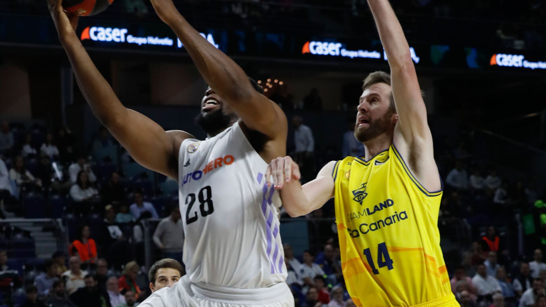 El Madrid sigue de celebración ante el Gran Canaria (95-68)