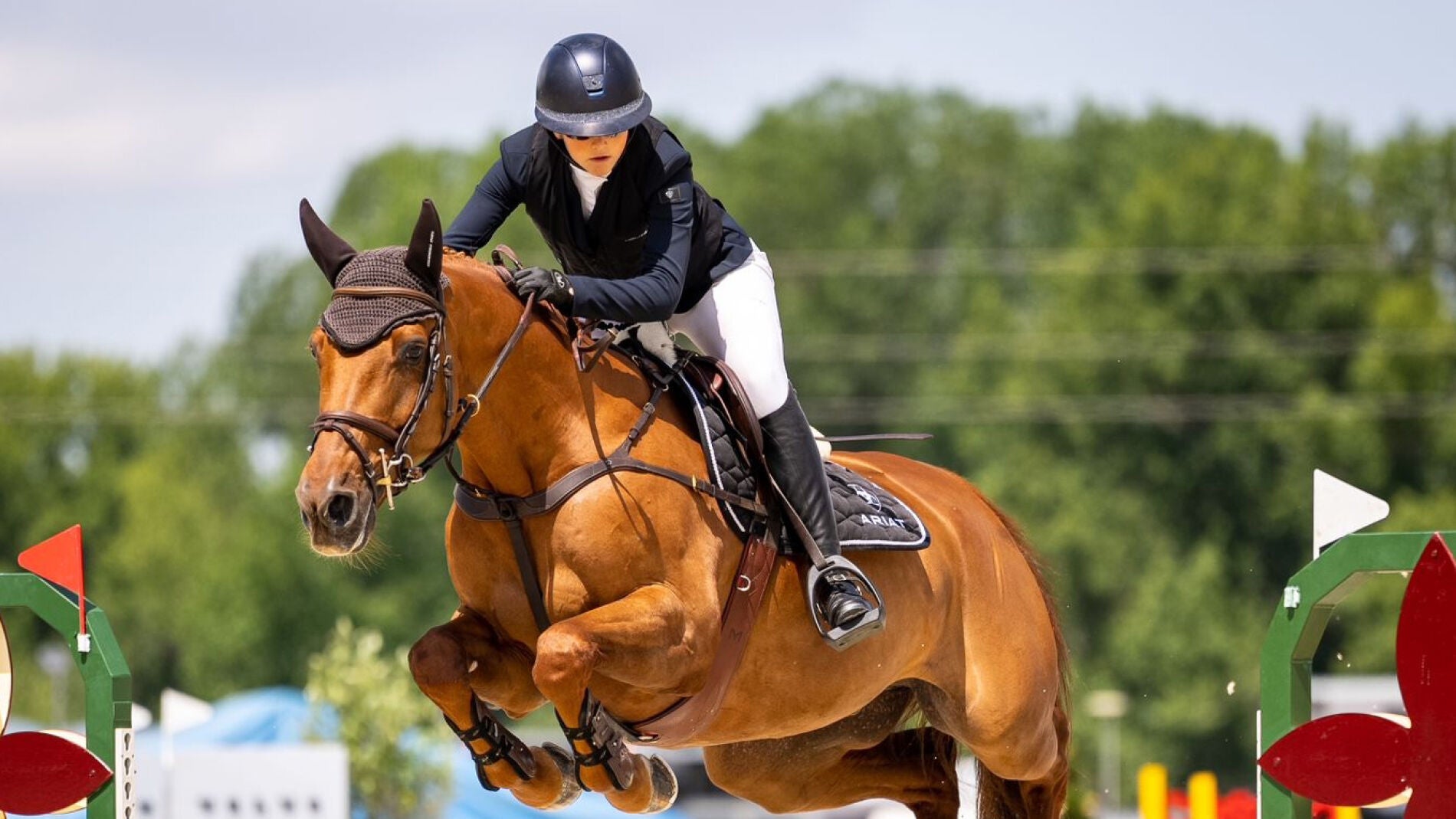 Publicado el listado de representantes para los Campeonatos de Europa ...