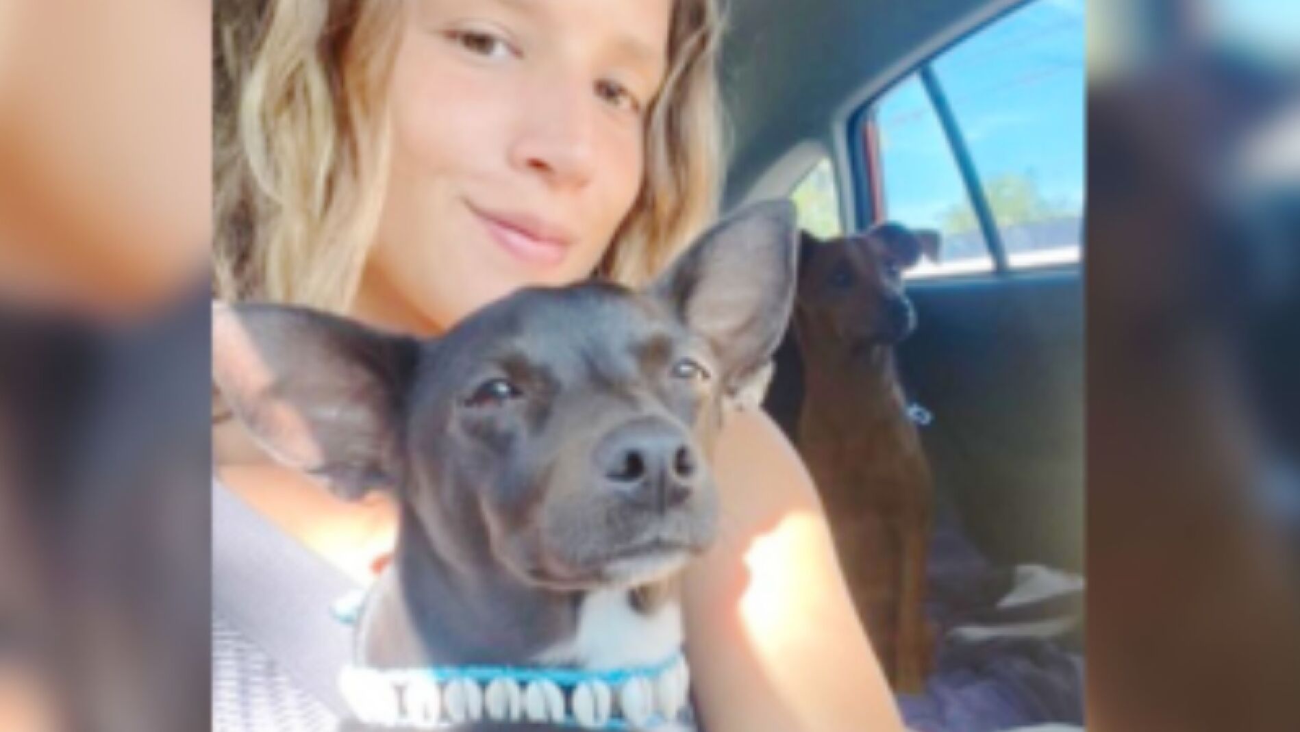 Una joven pierde a su perrita después de que la aerolínea le obligase a ...