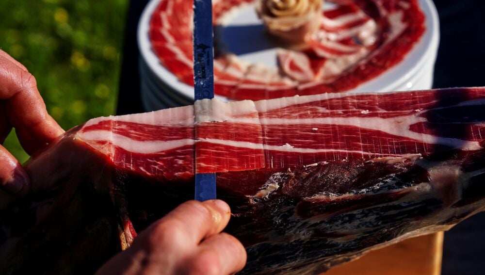 La montanera del siglo en las Dehesas de Montaraz: ibéricos que no ...