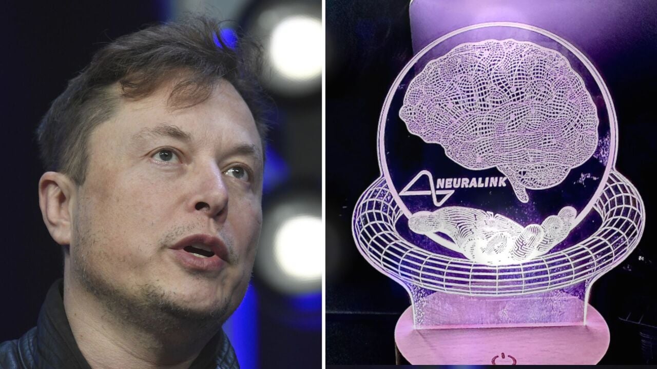 Así es "Telepathy": el chip que Elon Musk planea implantar a 30 ...