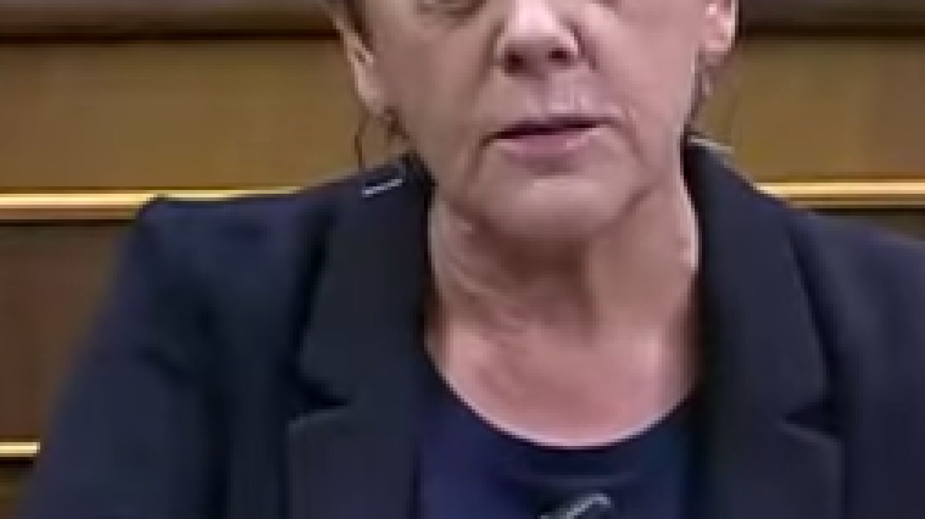 Bildu luce en el Congreso la moda vasca del siglo XVI