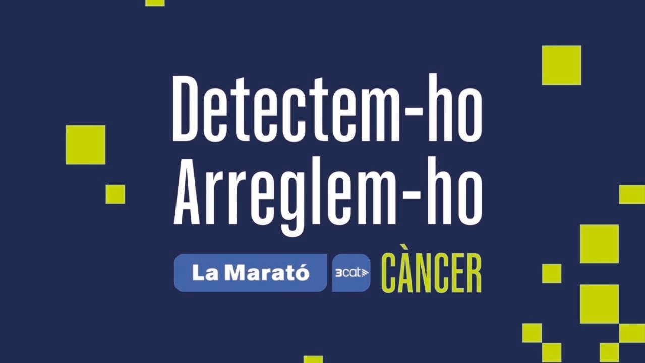 ¿Cuánto dinero ha recaudado La Marató 2025 de TV3 para investigar sobre ...