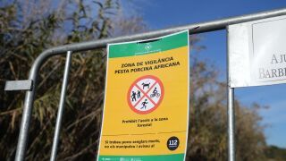 Peste porcina: lista actualizada de municipios afectados en Cataluña ...