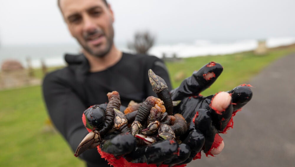 Del mar a la mesa: estos son los productos que no te puedes perder en ...