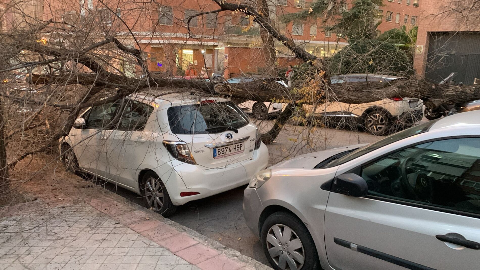 Un árbol cae sobre dos coches en el barrio de Estrella (Madrid)