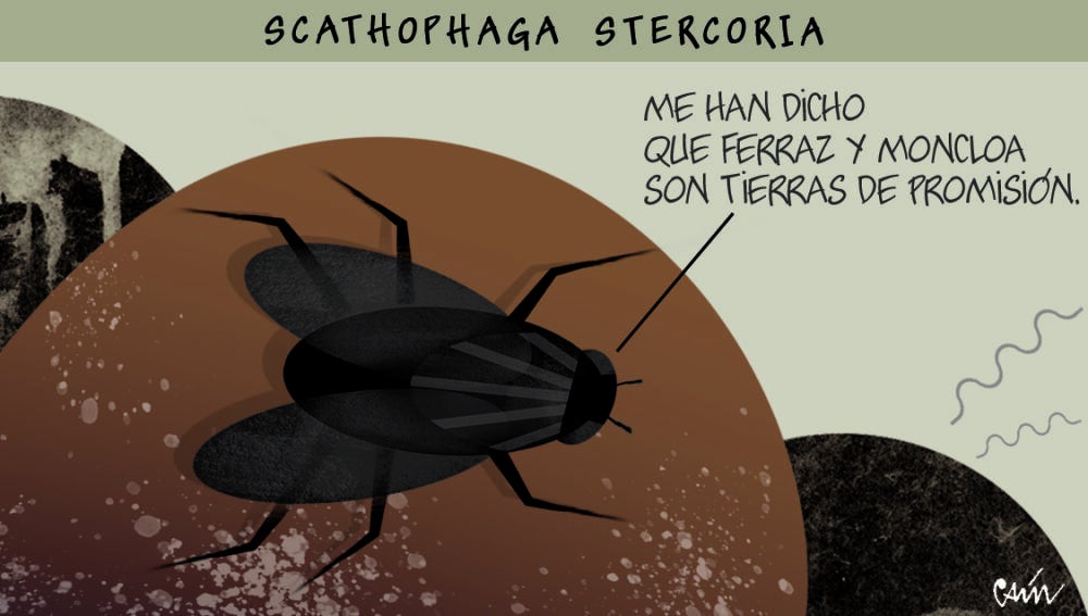 La viñeta de Caín 3 junio 2026