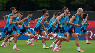La Federación Española de Fútbol pide que se exima a la Selección de ...