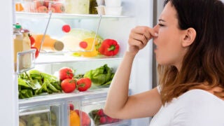 ¿Tu rellano huele siempre a la comida que cocinan los vecinos? Puedes ...